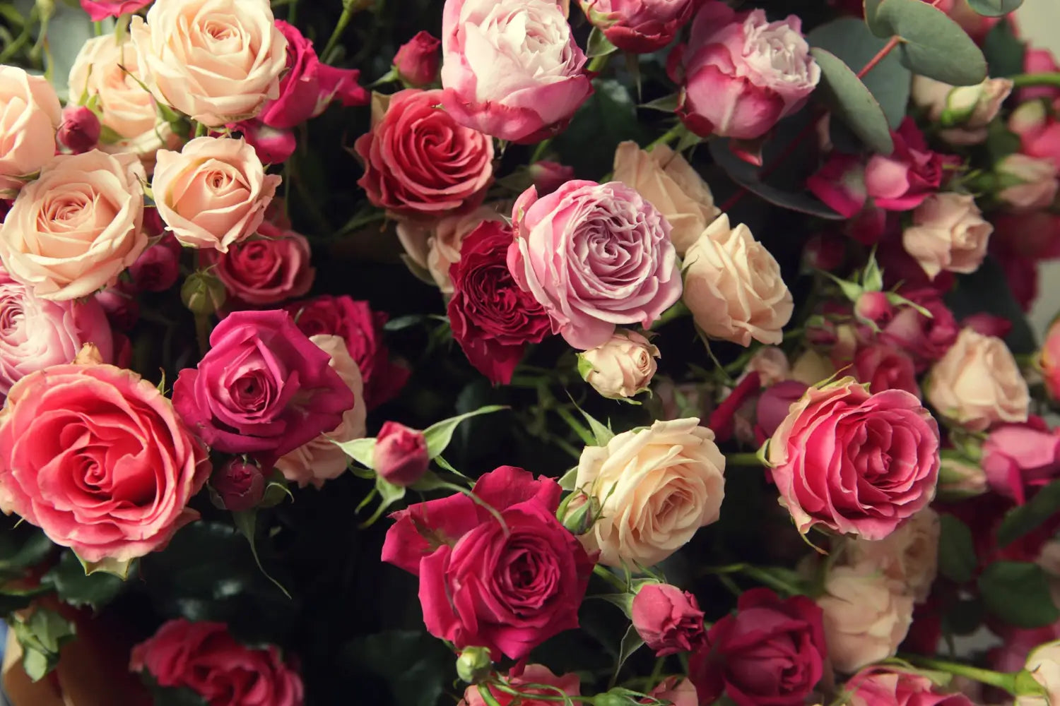 Roses | Classic & Romantic Bouquets – FloralDelights.ph – FloralDelights PH